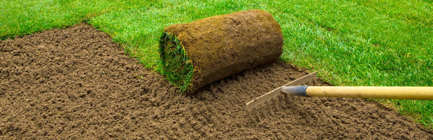 Premium Turf Laying Services in Sydney - Trees and Garden Grass Laying
